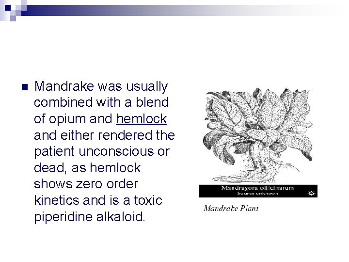 A Brief History of Anesthesia 16 December 2010