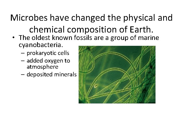 Origin of Life Biology Chapter 12 Earth was