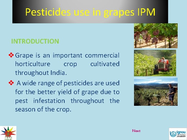 Pesticides use in grapes IPM INTRODUCTION v Grape