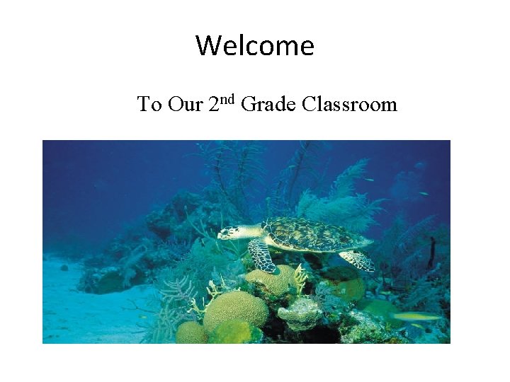 Welcome To Our 2 nd Grade Classroom Lets
