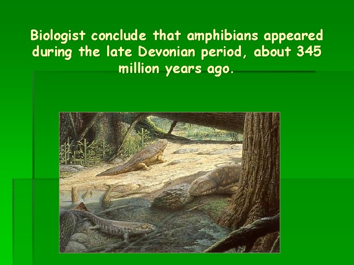 Amphibians Evolution of Amphibians Amphibian comes from the
