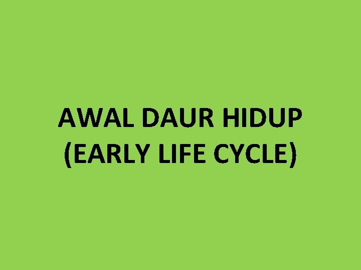 AWAL DAUR HIDUP EARLY LIFE CYCLE DAUR HIDUP