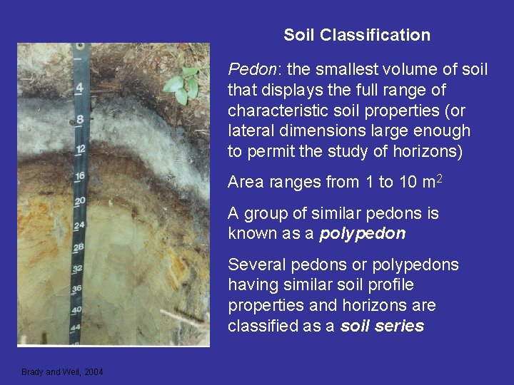 Soil formation begins with weathering of bedrock http