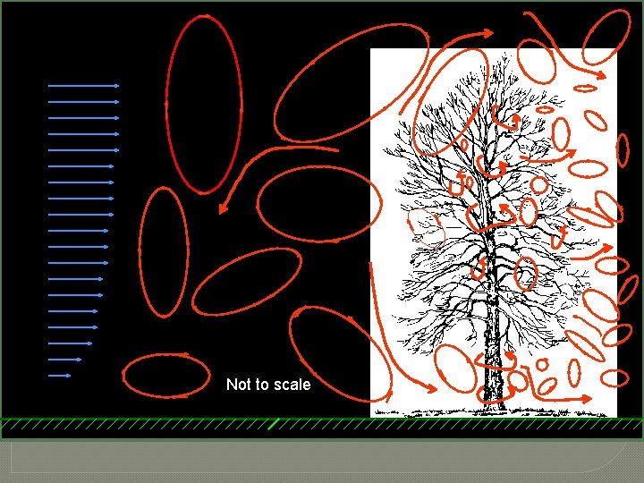 Windbreak Functions or How Do Windbreaks Work Richard