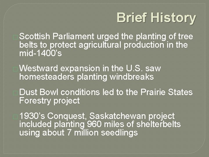 Windbreak Functions or How Do Windbreaks Work Richard