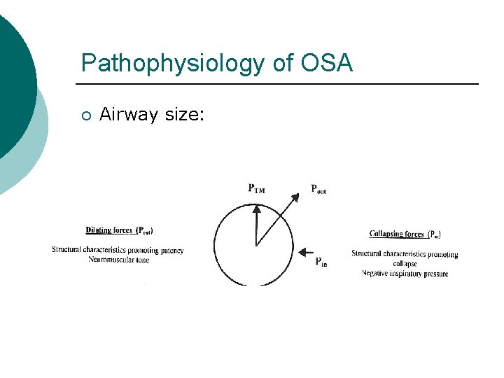 Obstructive Sleep Apnea Melanie Giesler DO Patient Evaluation