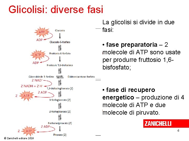 1 Il metabolismo cellulare 2 Zanichelli editore 2016
