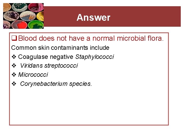 Blood culture Prof Dalia M Mohsen Prof in