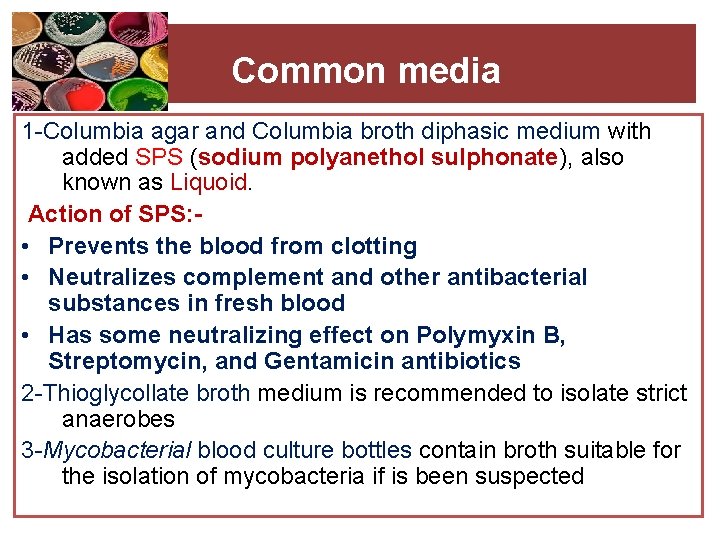 Blood culture Prof Dalia M Mohsen Prof in