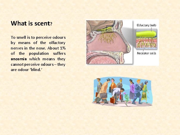 Fragrant Stamps Michel Houde 2011 What is scent