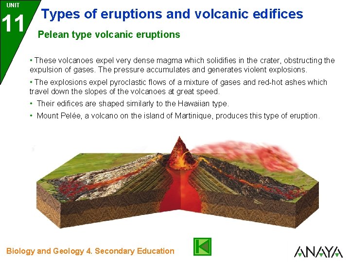 UNIT 11 The evolution of landforms TYPES OF