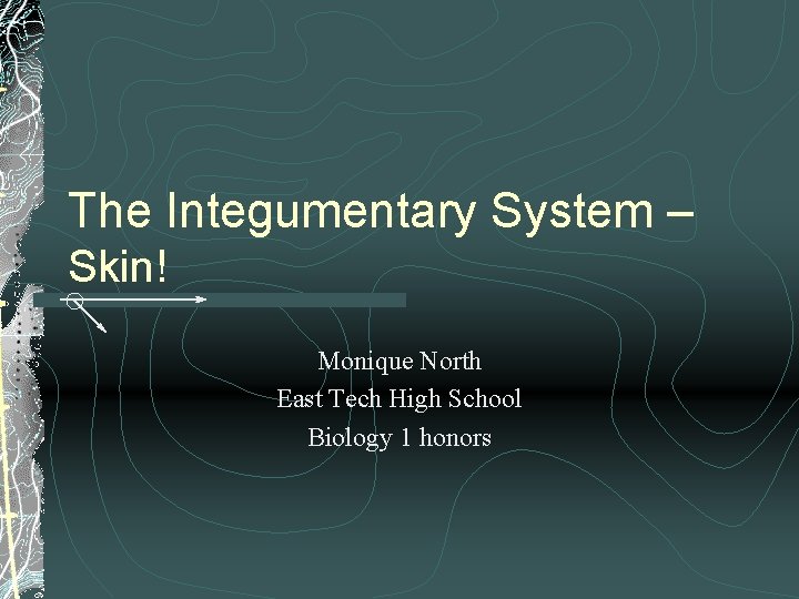 The Integumentary System Skin Monique North East Tech