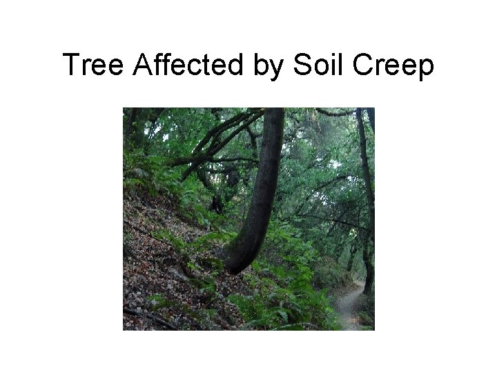 Gradational Processes breaking down of the lithosphere Weathering