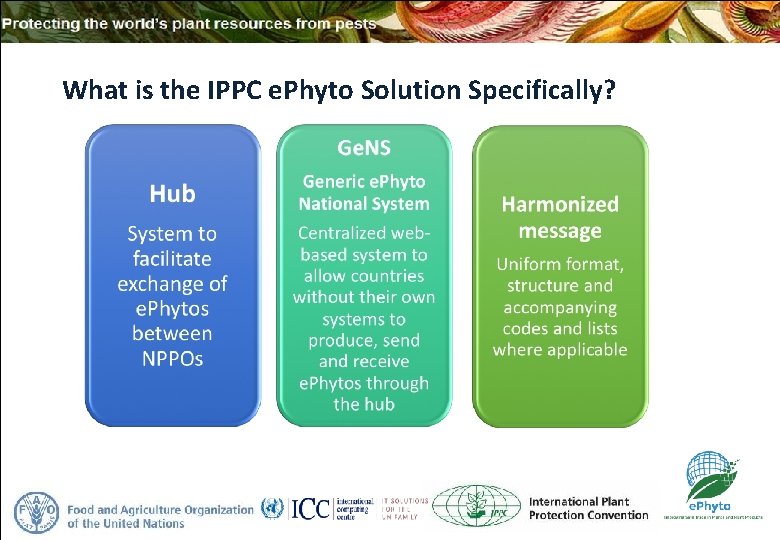 The IPPC e Phyto Solution International Plant Protection