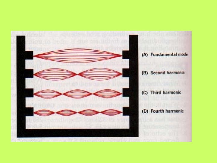 Fundamental Tones and Harmonics A tight wire or
