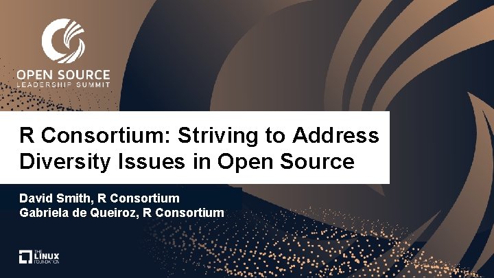 R Consortium Striving to Address Diversity Issues in