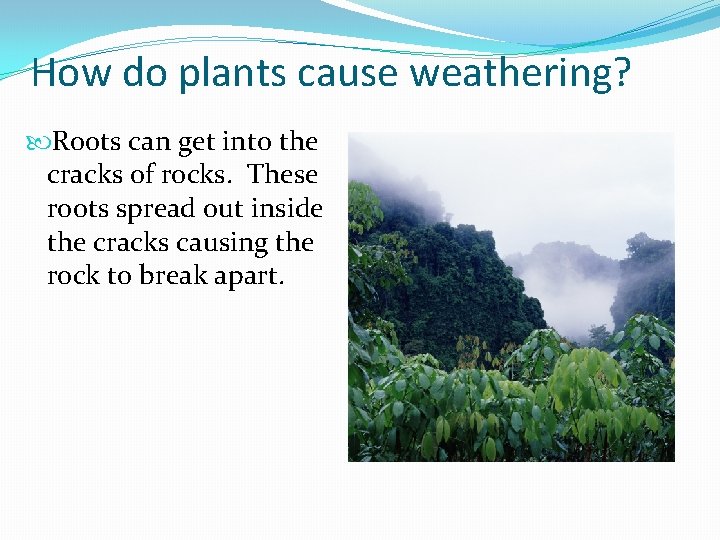 Elementary Science Focus Lesson SC 4 E 6