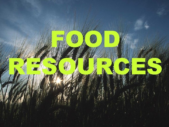 FOOD RESOURCES FOOD RESOURSES World food problems Changes
