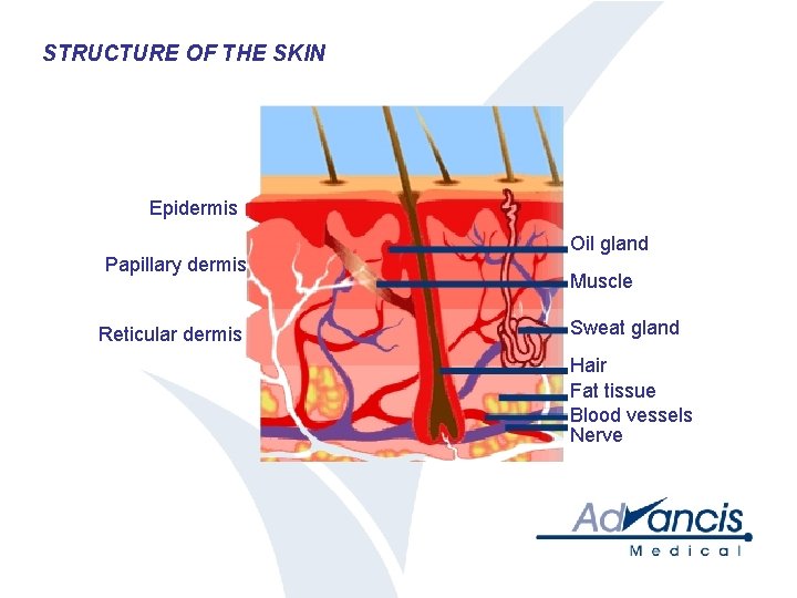 MANAGEMENT AND PREVENTION OF ABNORMAL SCARS LATEST FIGURES