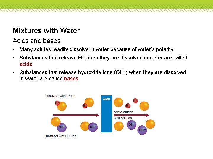 Chemistry in Biology Chapter Six Essential Questions What