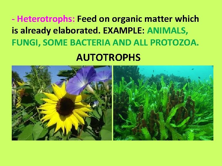 UNIT 1 EARTH AN INHABITED HABITAT 1 WHAT