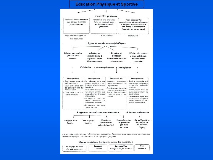 Lducation physique et sportive Du programme la programmation