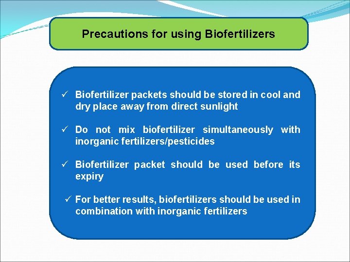 Biofertilizers Use in Tomato Introduction Biofertilizers are ready