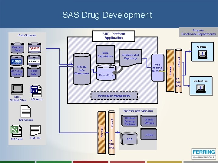 SAS Drug Development Presentation Project Background GAP analysis