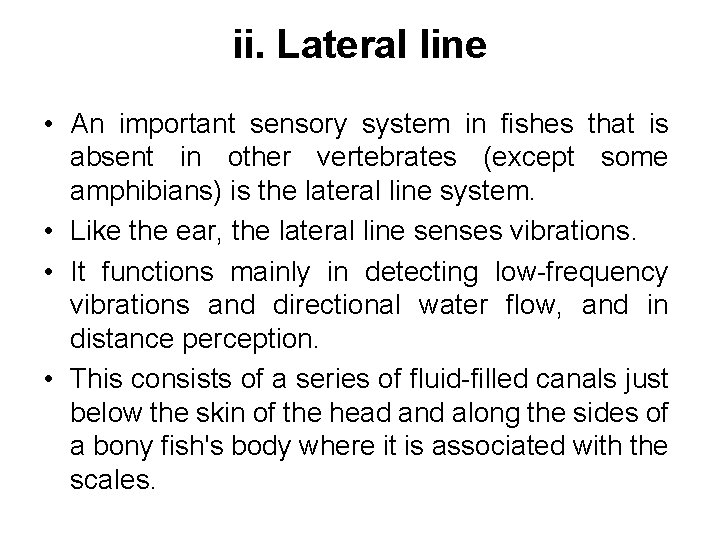Chapter 3 Sense organs A bony fishs brain