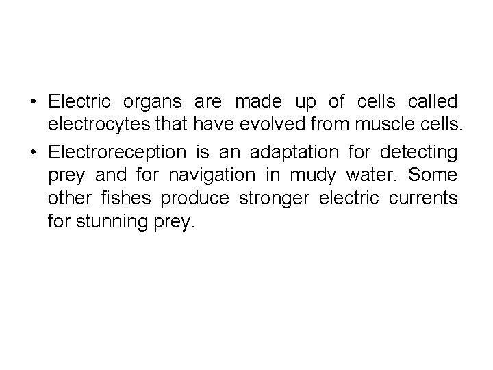 Chapter 3 Sense organs A bony fishs brain