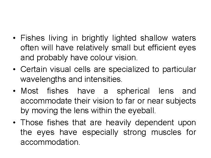 Chapter 3 Sense organs A bony fishs brain