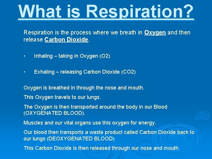 Oxygen Transport System What is the Oxygen Transport