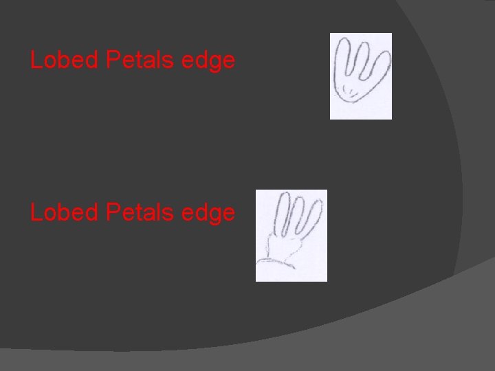 PRINCIPALS OF FLOWERING PLANTS TAXONOMY BOT 222 Dr