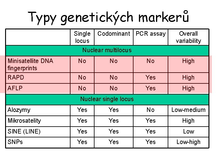 Typy genetickch marker Single locus Codominant PCR assay