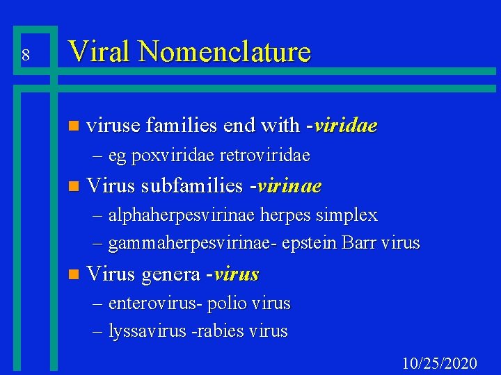 1 Virus Structure Classification developed by Hugh B