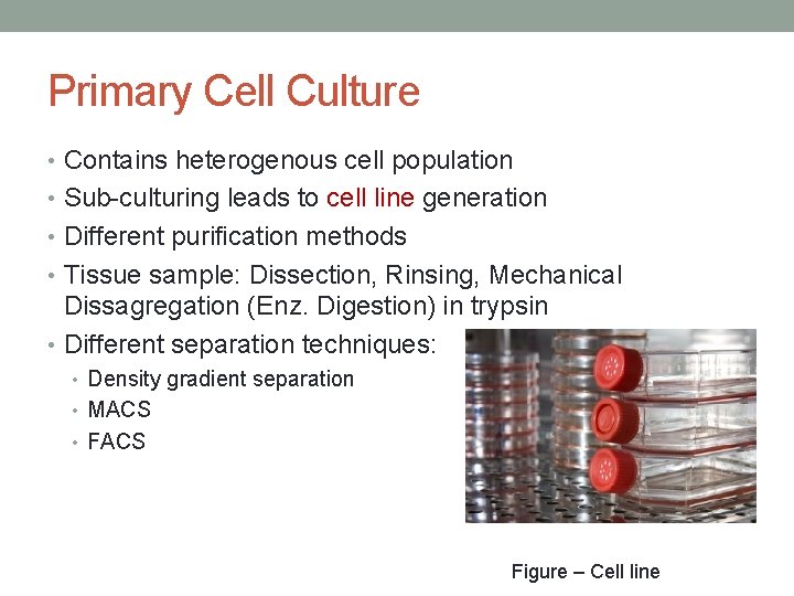 INTRODUCTION TO MAMMALIAN CELL CULTURE Lecturer Assist Prof
