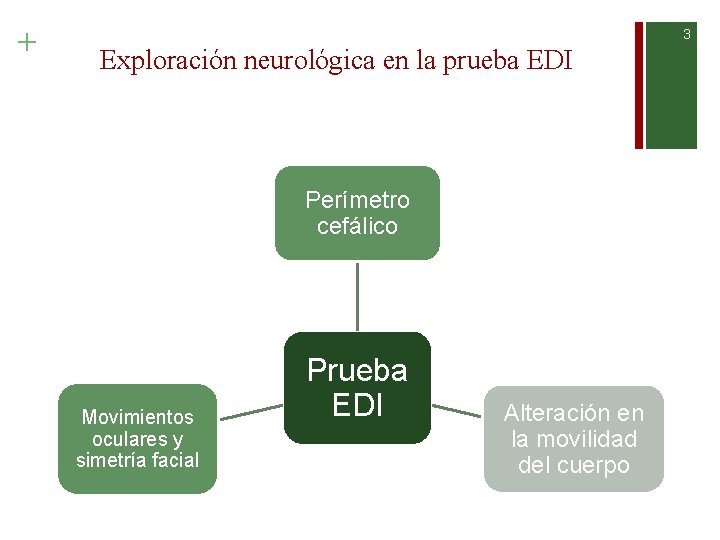 Evaluacin del Desarrollo Infantil EDI Generalidades Exploracin Neurolgica