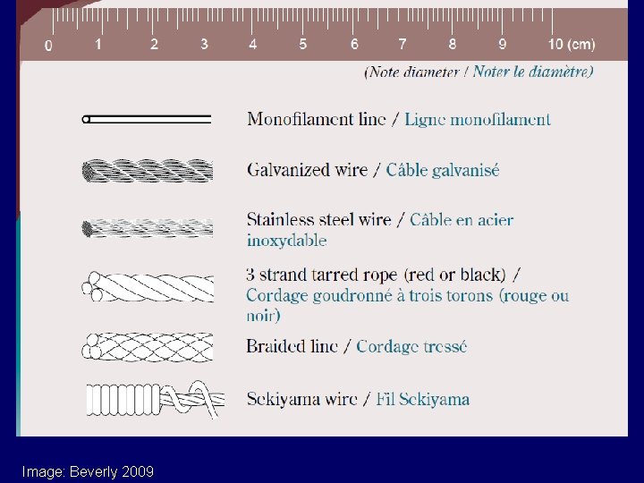 Pelagic Longline Fishing Procedures Gear http www panda