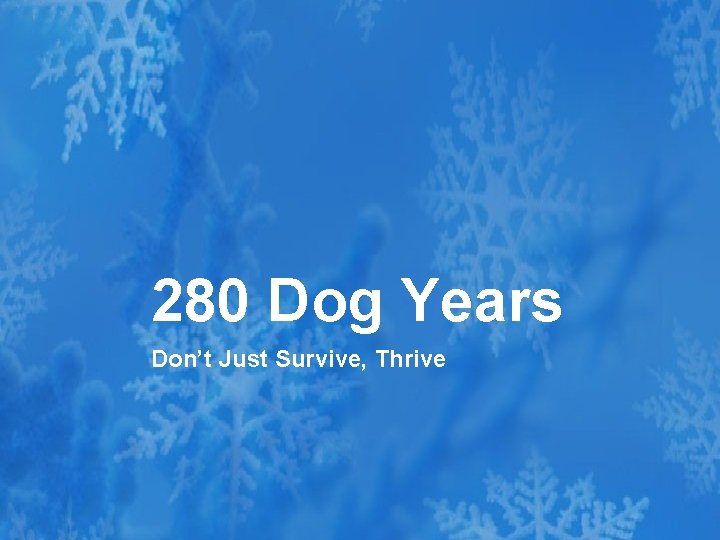 280 Dog Years Dont Just Survive Thrive Life