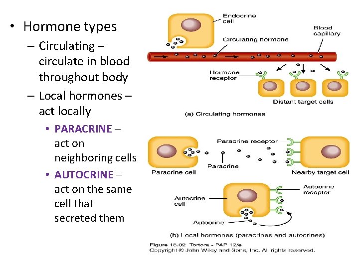 CLINICAL ENDOCRINOLOGY OBJECTIVES 1 2 3 4 5