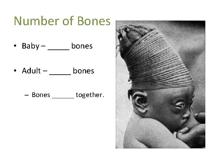 Drill 1 What are the function of bones