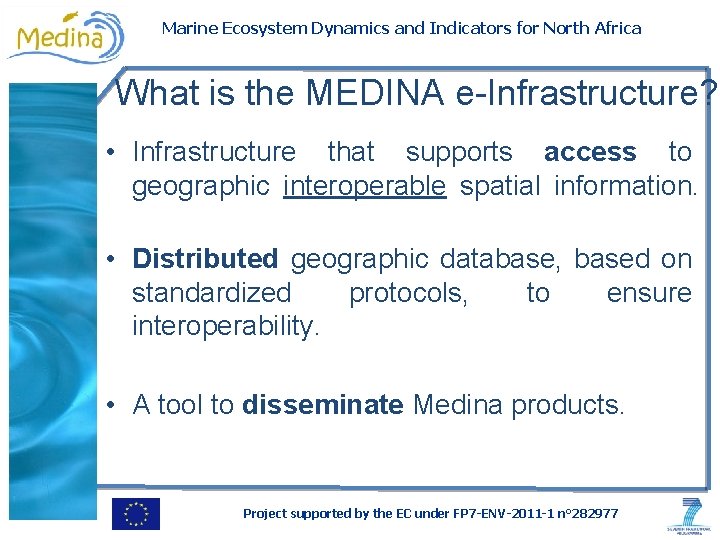 Marine Ecosystem Dynamics and Indicators for North Africa