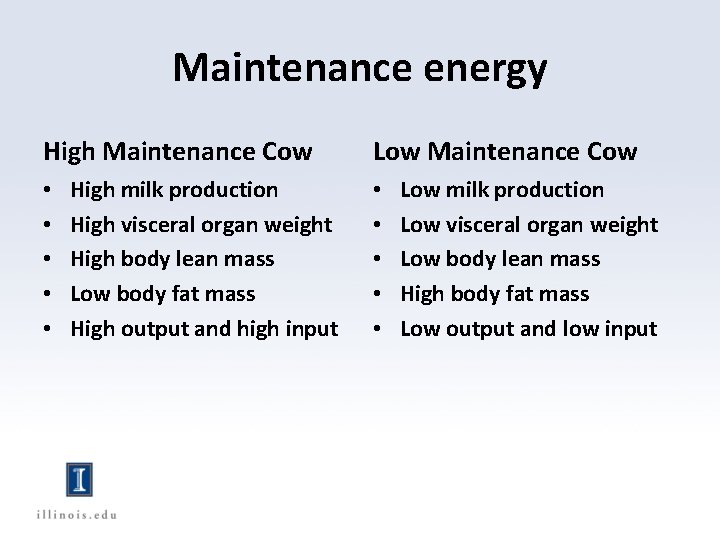 Improvement of Beef Cow Biological Efficiency Dan Shike