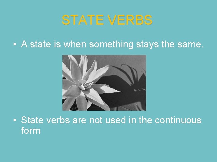 STATE AND ACTION VERBS Also called stative and
