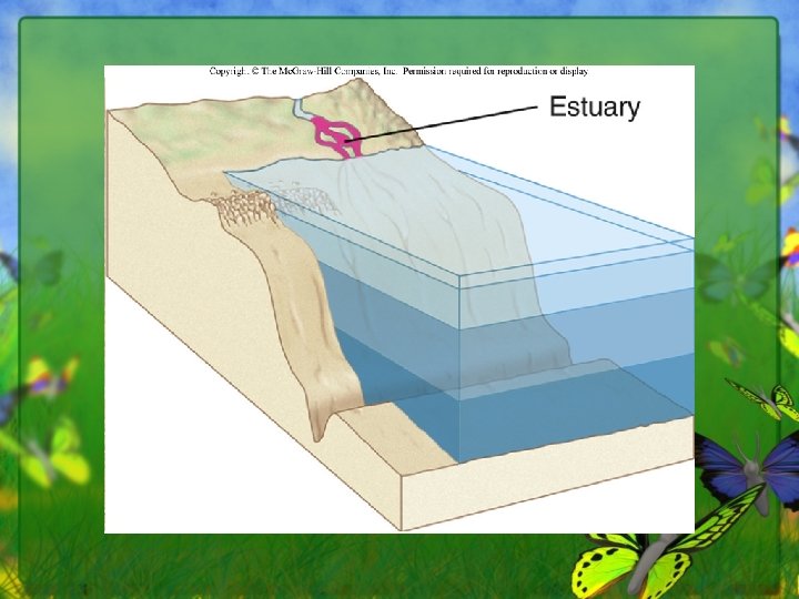 Chapter 12 Estuaries Where Rivers Meet the Sea