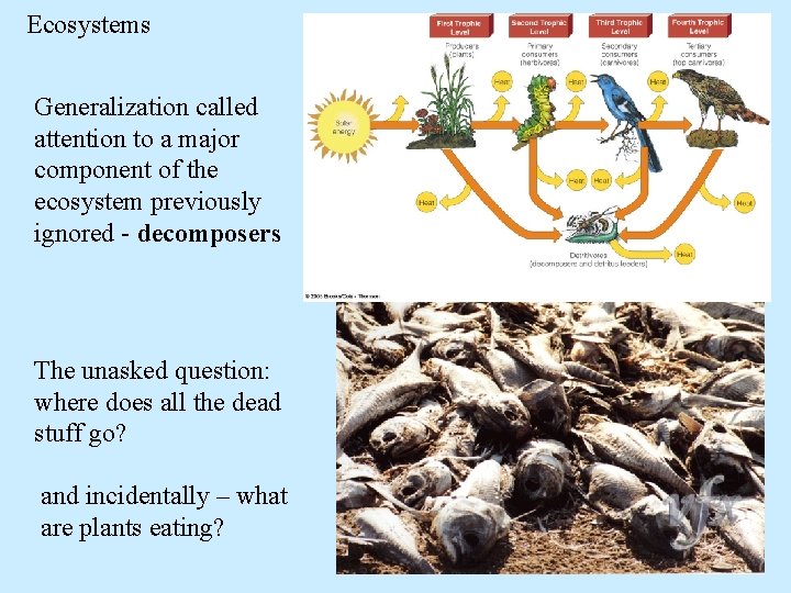ECOLOGY Part 2 What is Ecology The study