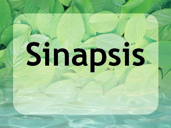 Sinapsis Sinapsis 1 Contacto funcional que se establece