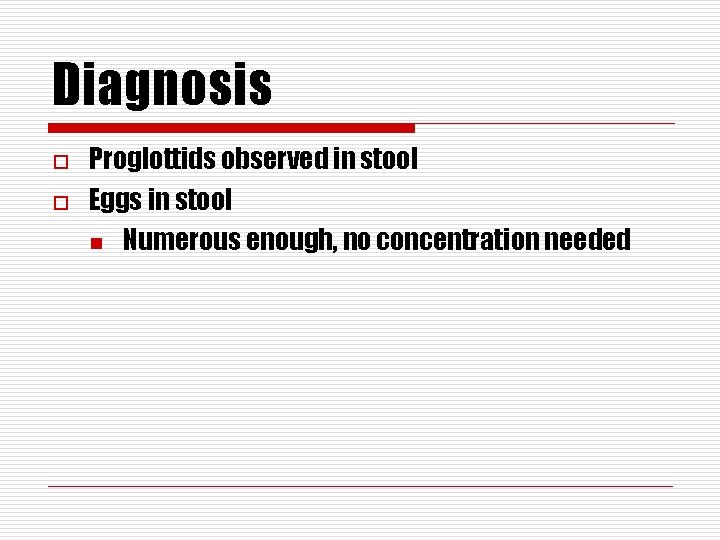 Diphyllobothrium Latum Ian Moreau Morphology Physiology o o