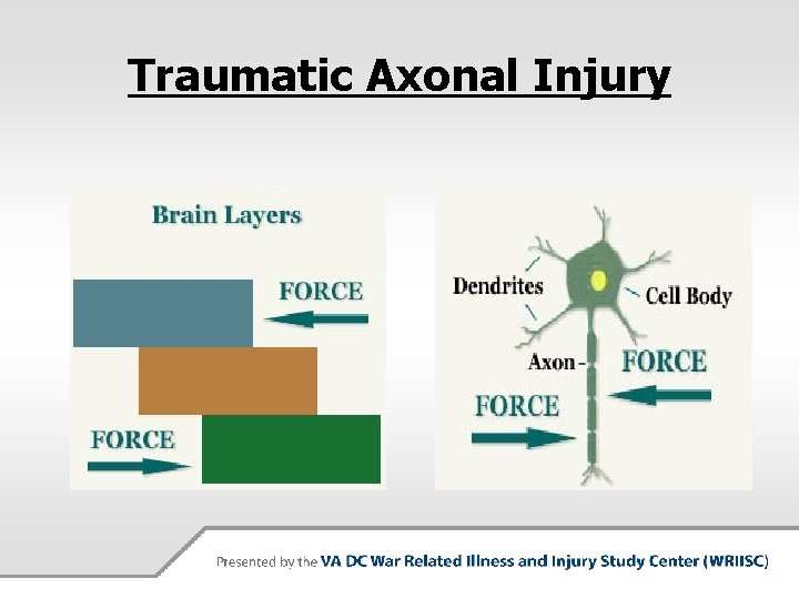 Traumatic Brain Injury Blast Versus NonBlast Trauma Julie