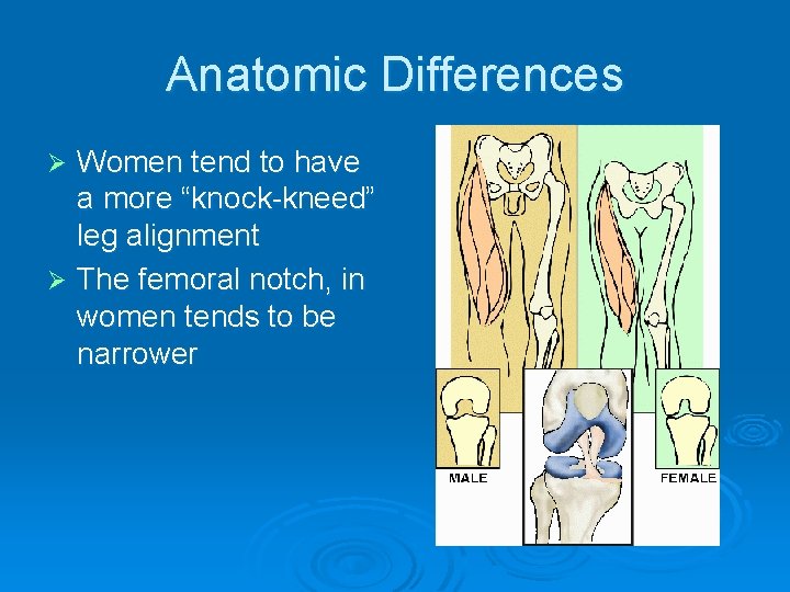 The Female Knee Creates the MVP Most Vulnerable